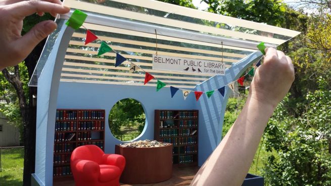 About – Bird Library