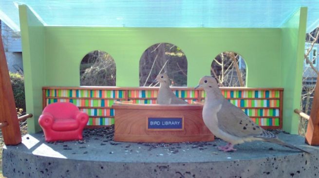 Copy Paste – Bird Library