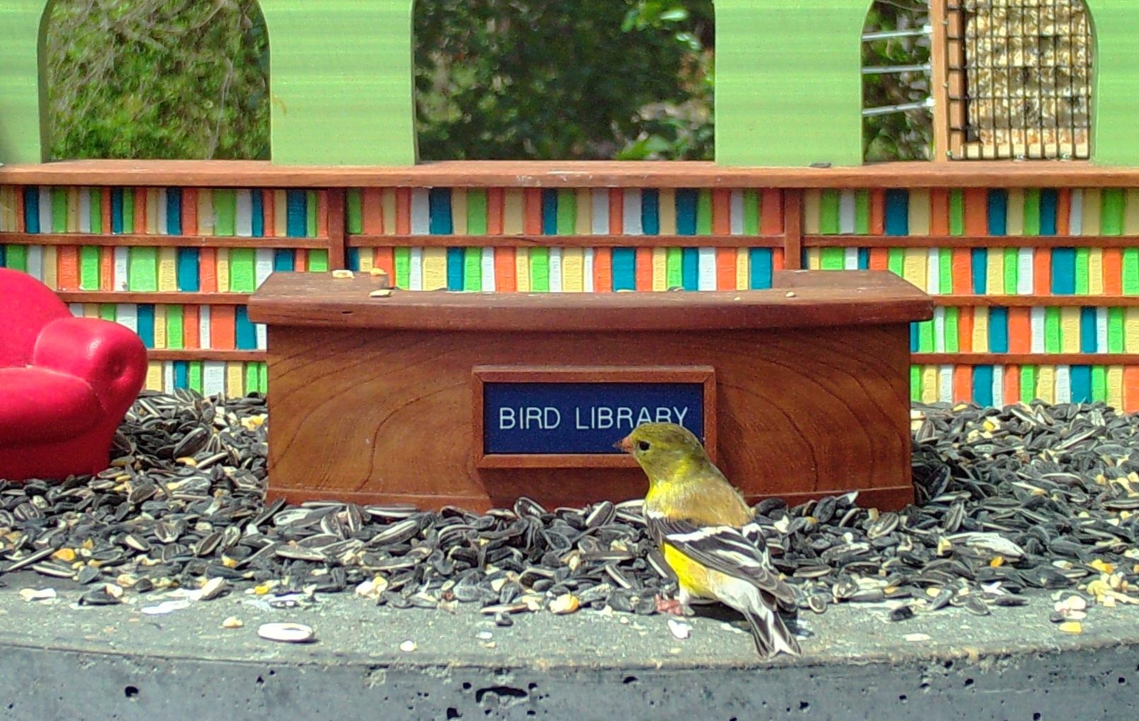 Goldfinch – Bird Library