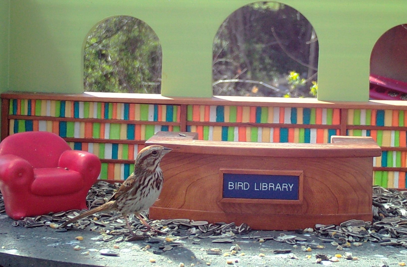 Bird Library