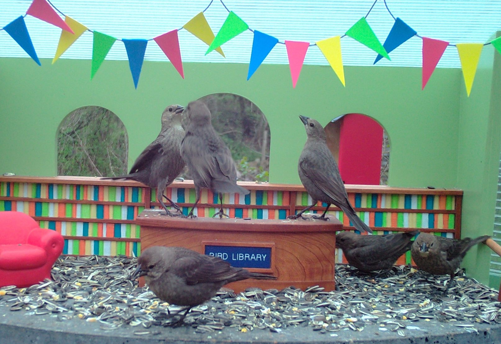 Bird Herd – Bird Library