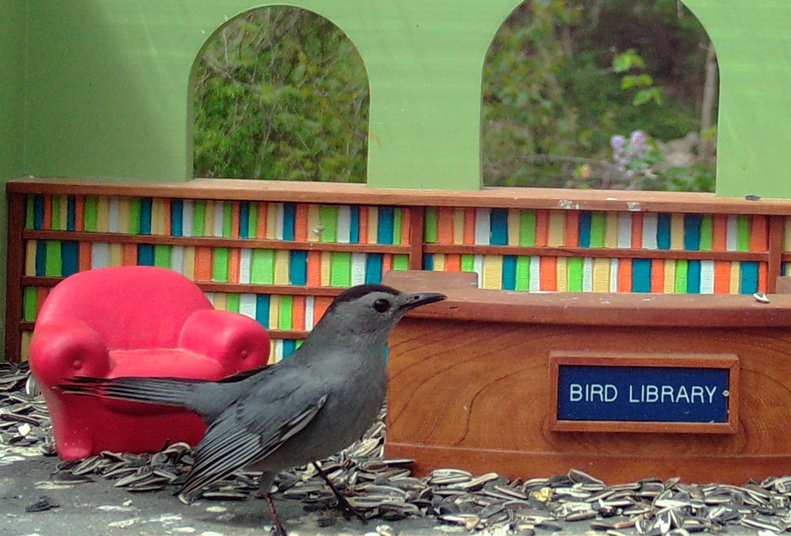 Meow – Bird Library
