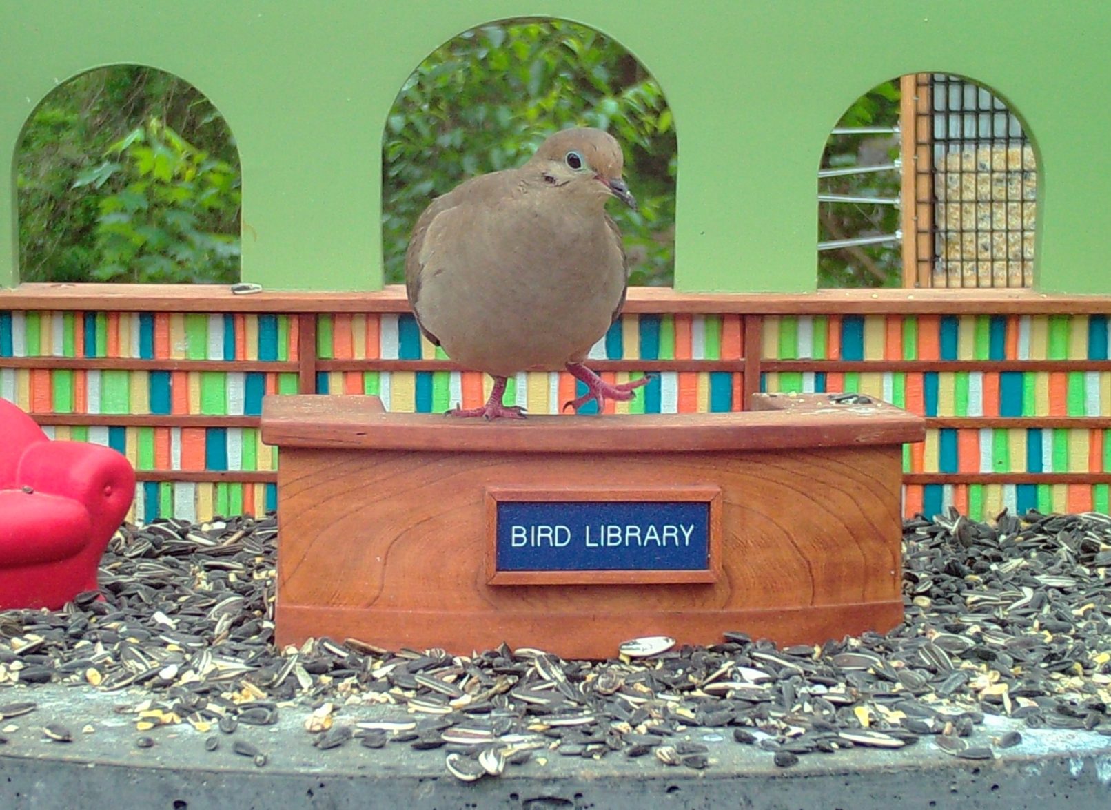 792.8 – Tap Dance – Bird Library