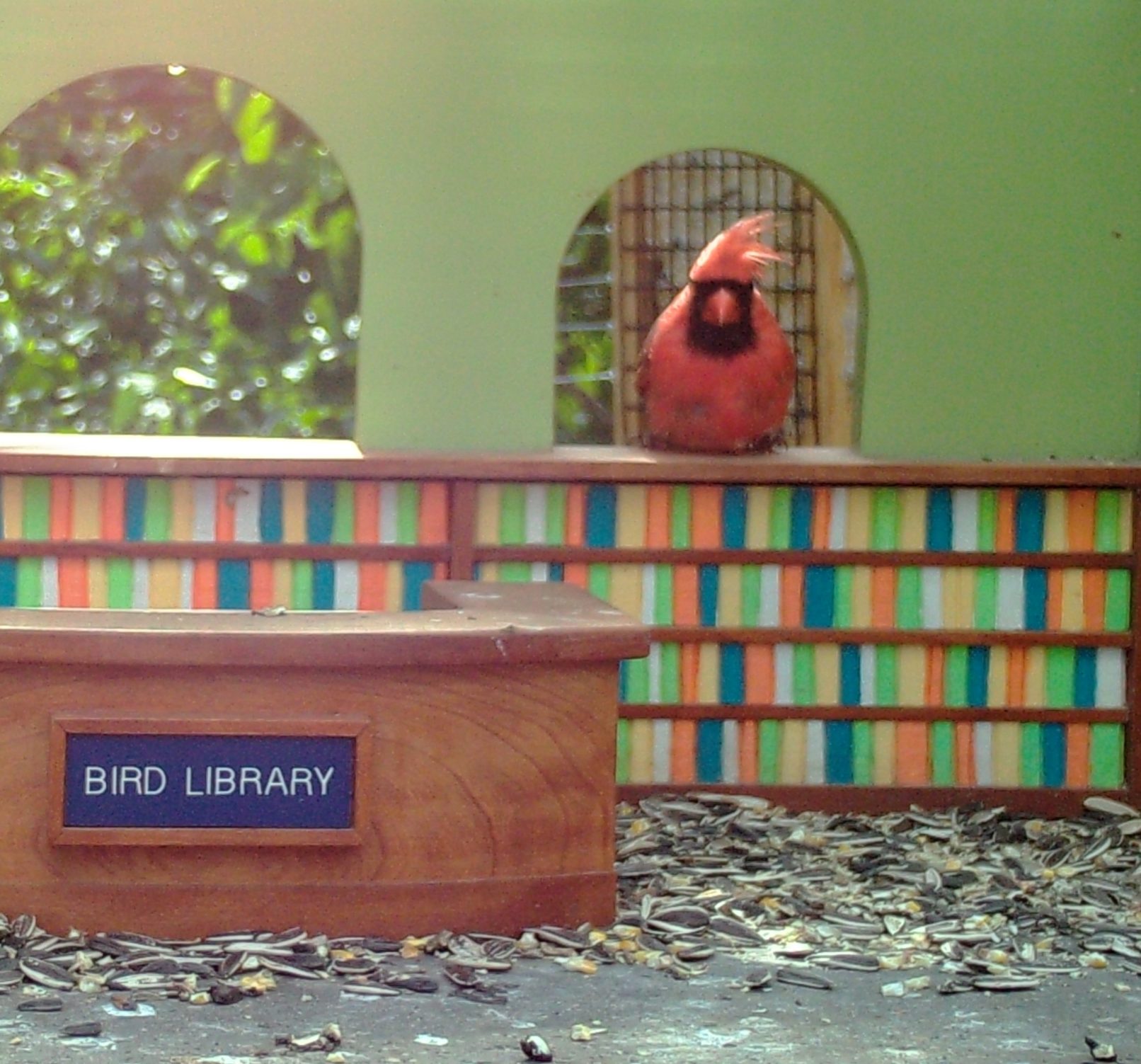 ABCs – Bird Library