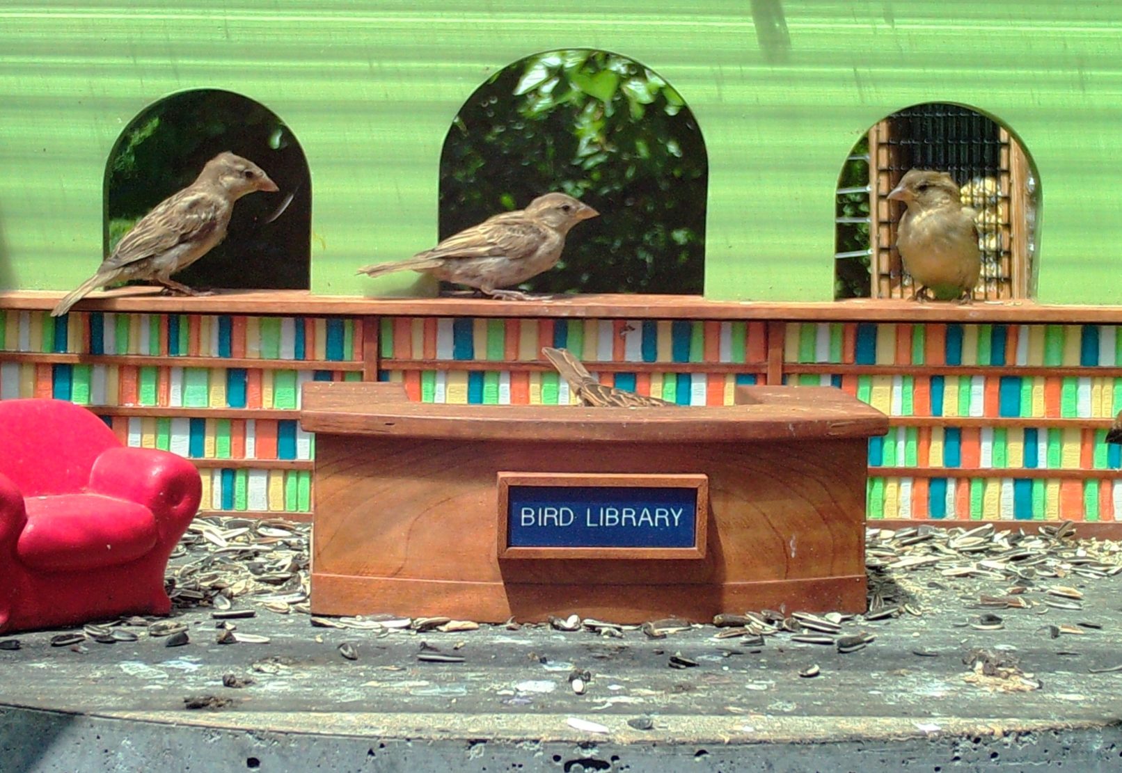 Birdy Bunch – Bird Library