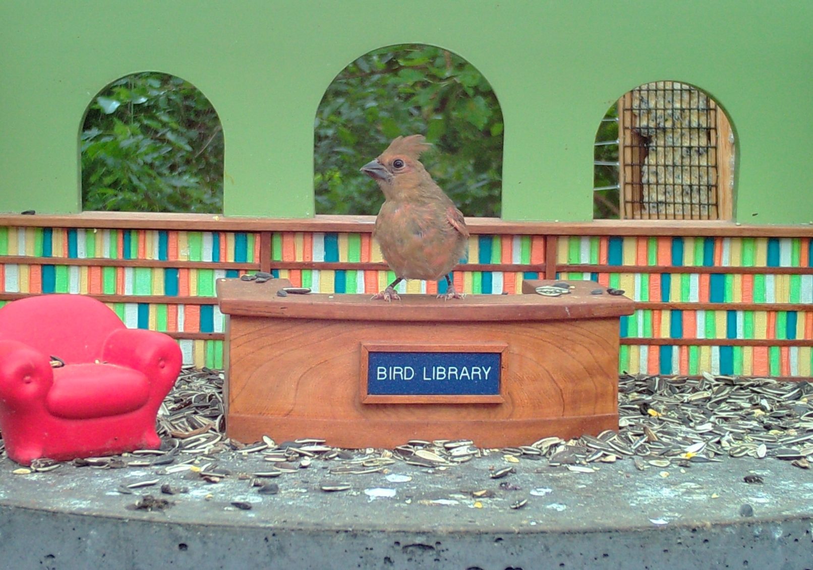 OMG – Bird Library