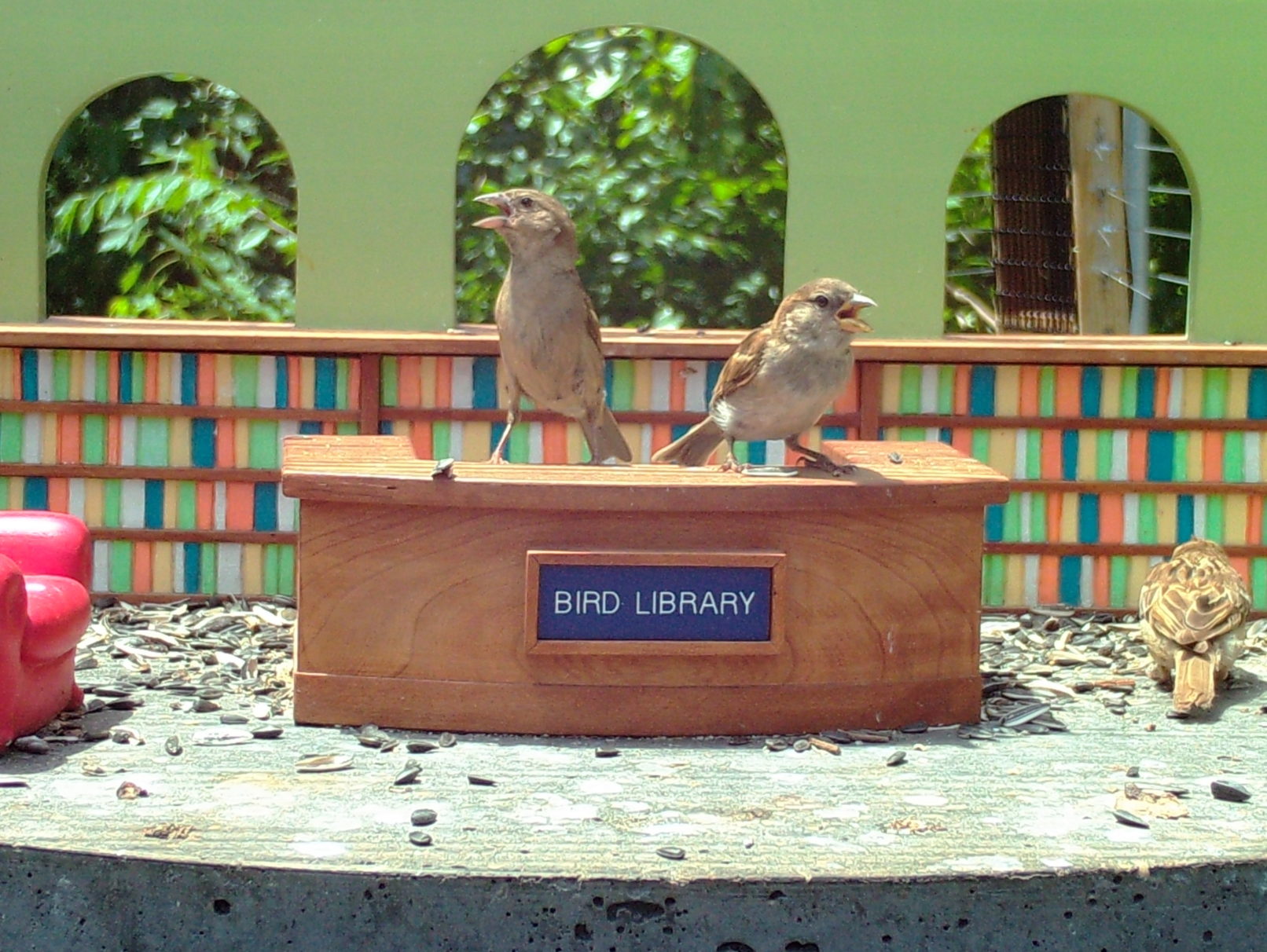 Read All About It – Bird Library