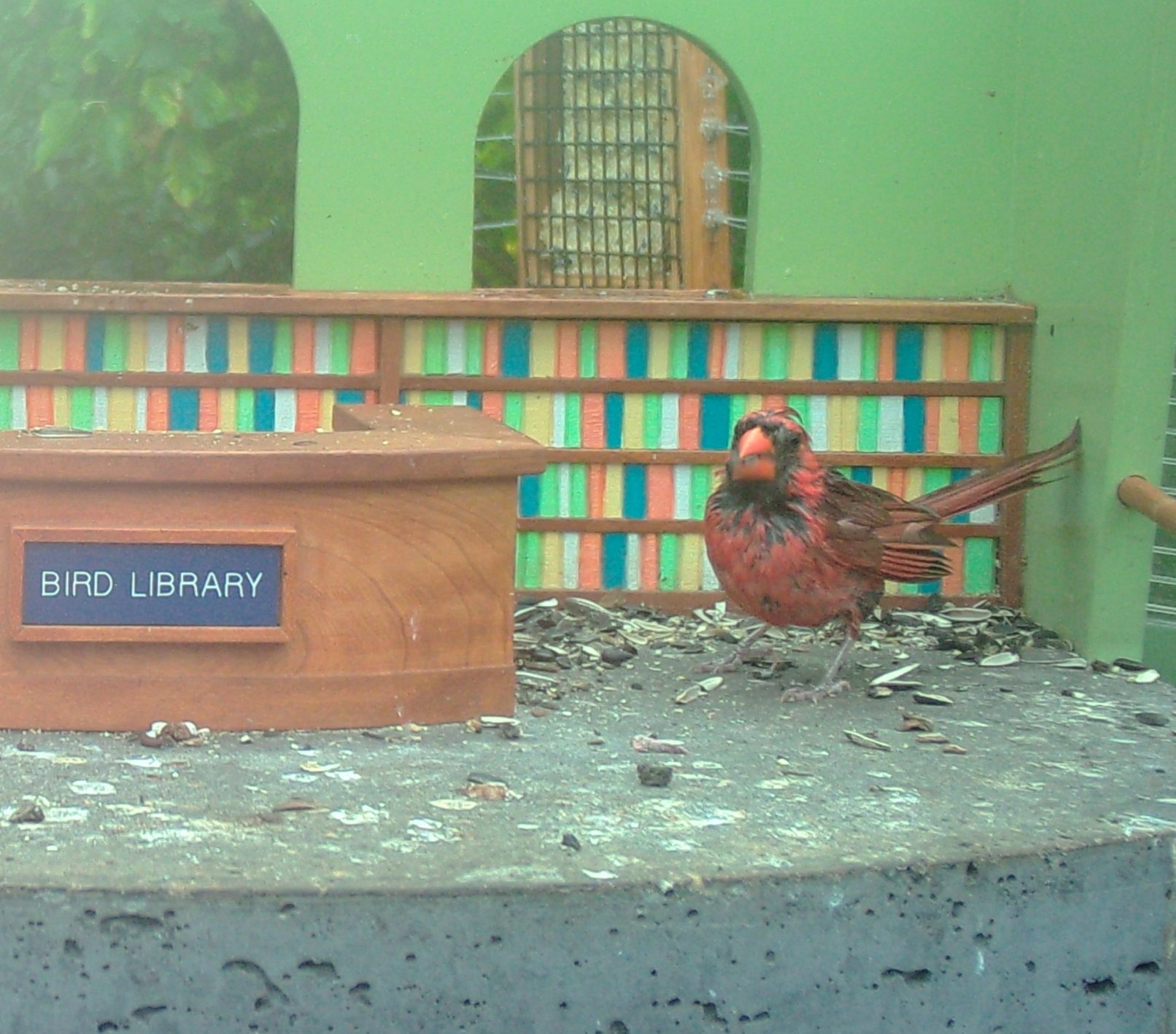 Wet – Bird Library