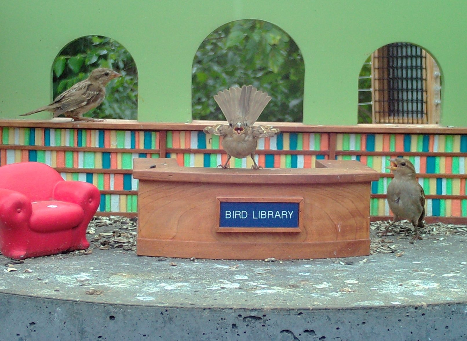 Challenging – Bird Library