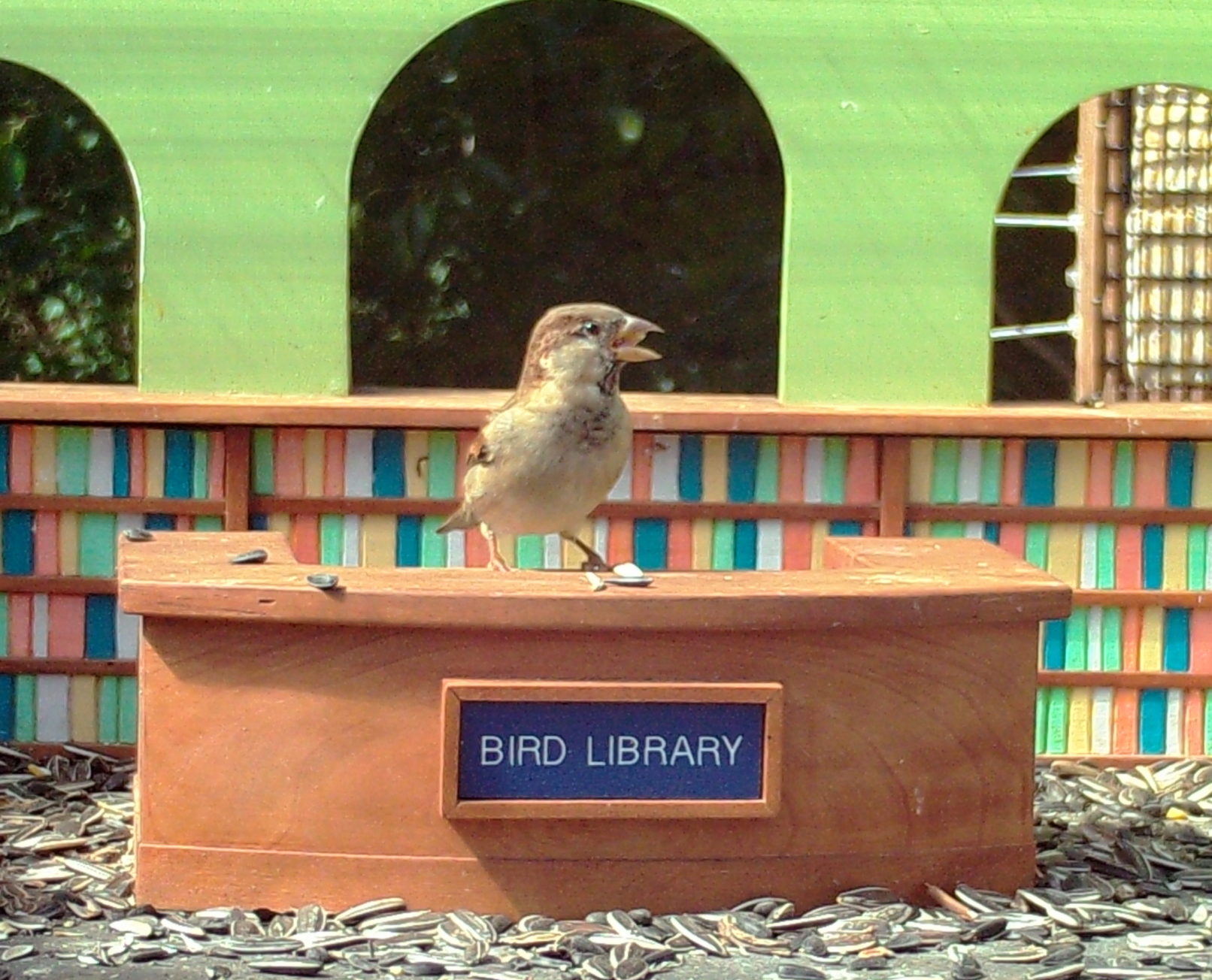 Birds are Back – Bird Library
