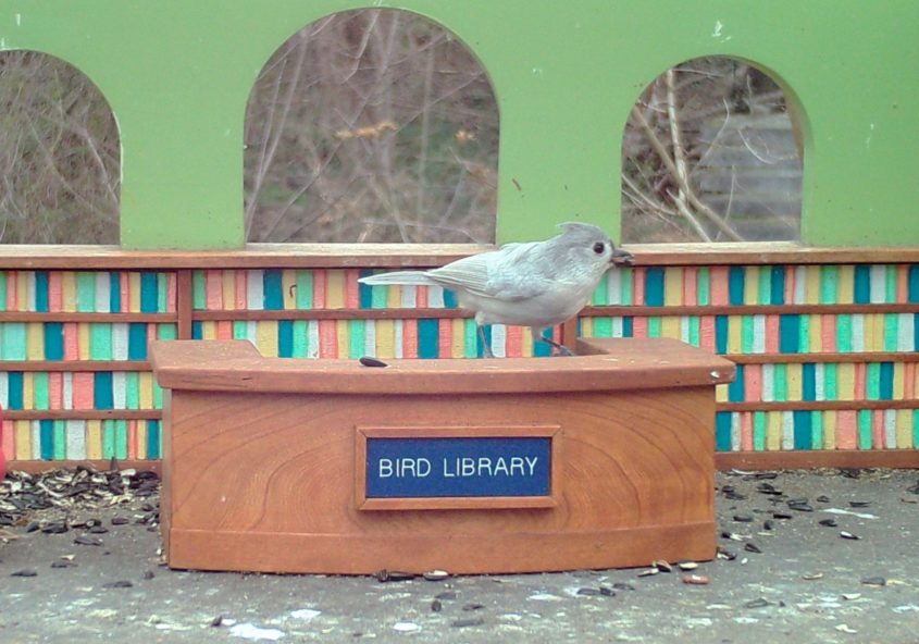 February 2020 – Bird Library