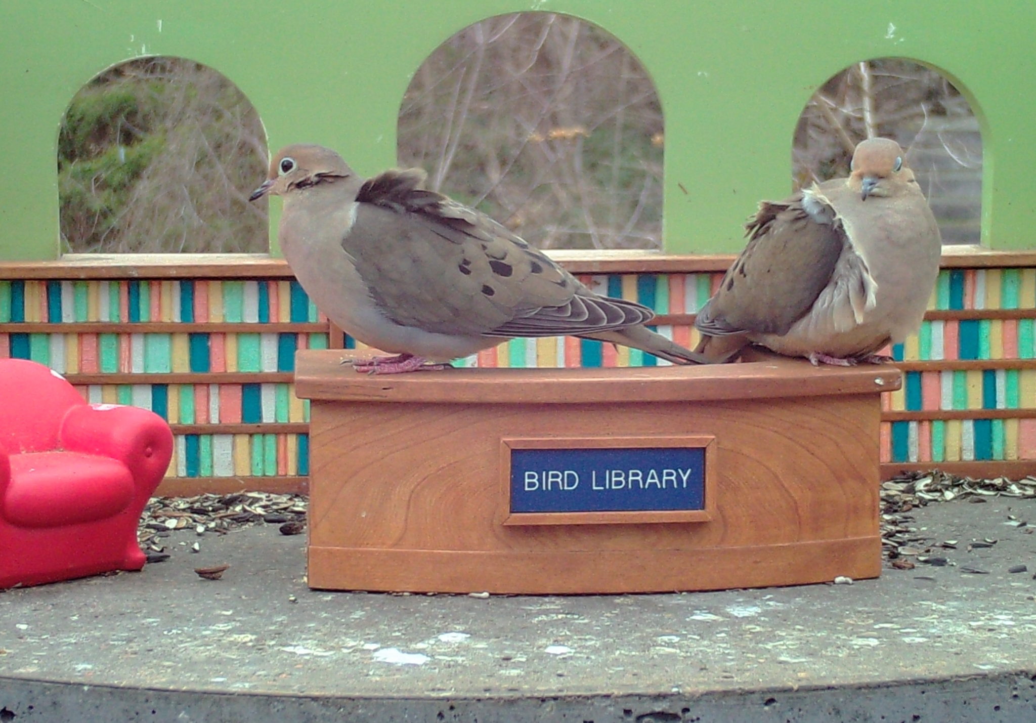 Growing Apart – Bird Library