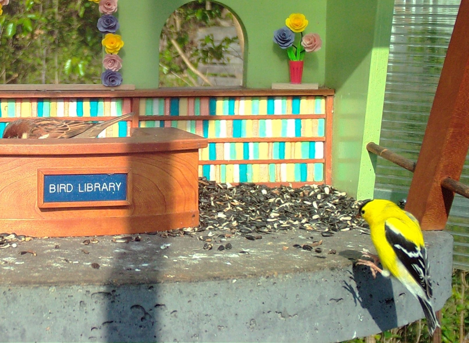 We Struck Gold! – Bird Library