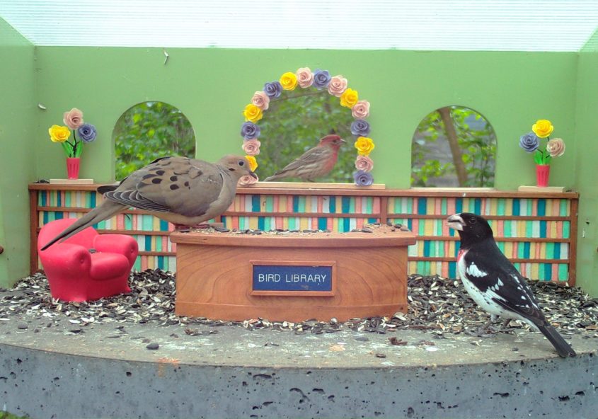 Archives – Page 3 – Bird Library