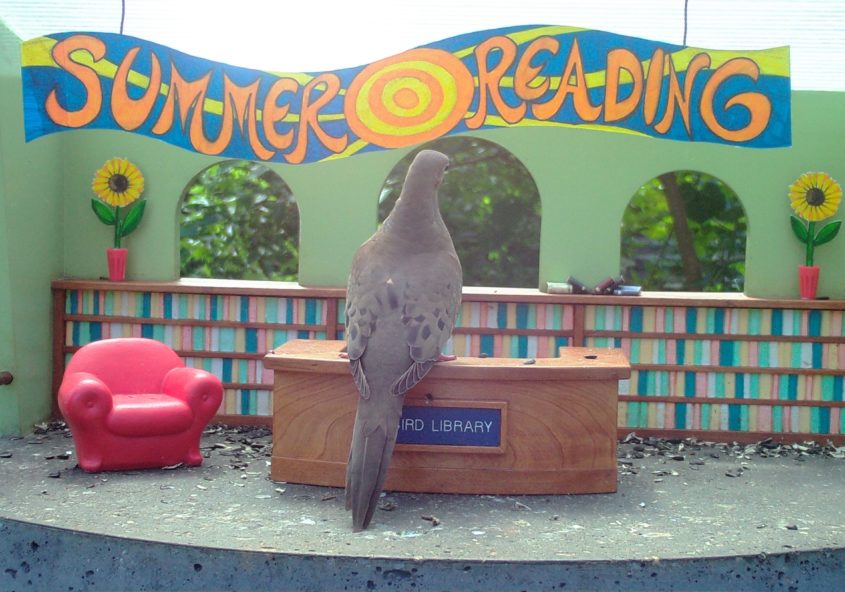 Archives – Page 3 – Bird Library