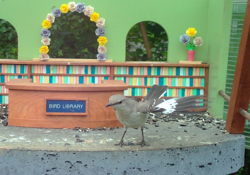 June 2020 – Bird Library