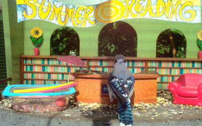 Bird Library – Feeding the birdbrains of Virginia