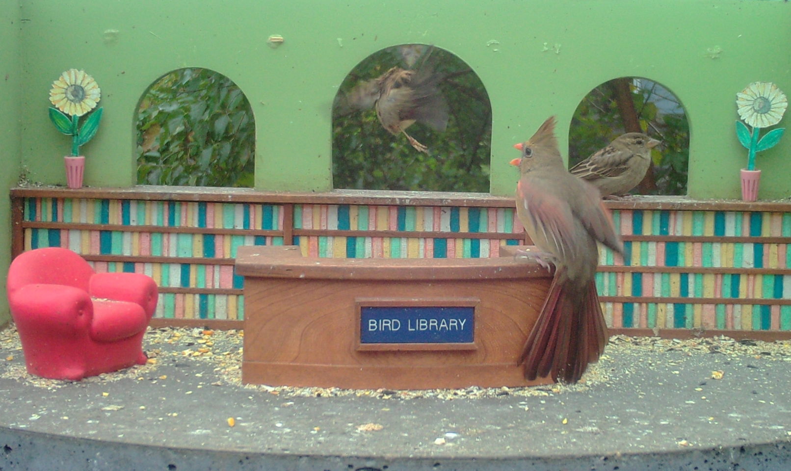 Increased Circulation – Bird Library