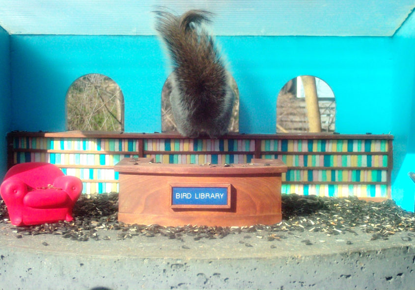 March 2023 – Bird Library